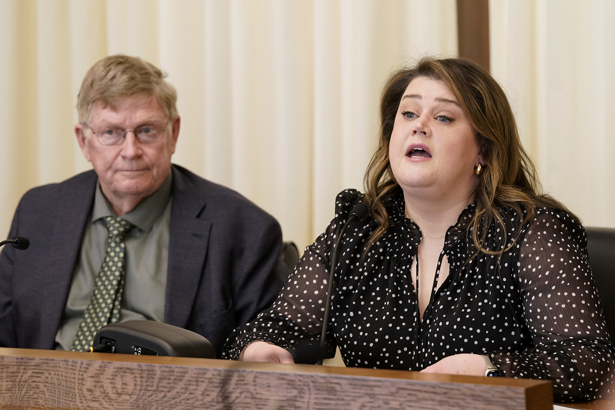 Dammed if they do? Committee considers lifting hydroelectric ...